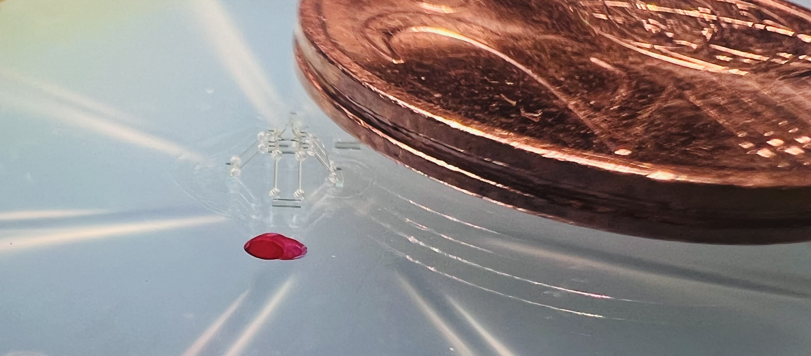 Generic Page - Massively by HTML5 UP